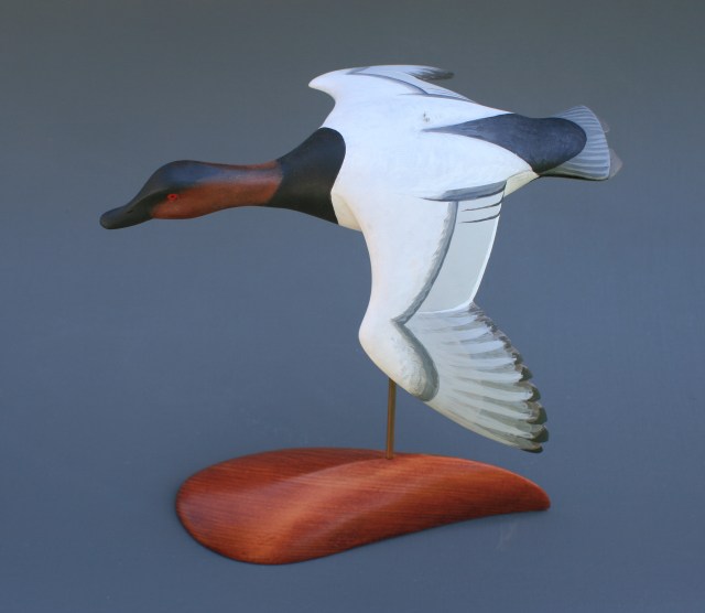 Canvasback – decoys & carvings | Steven Jay Sanford